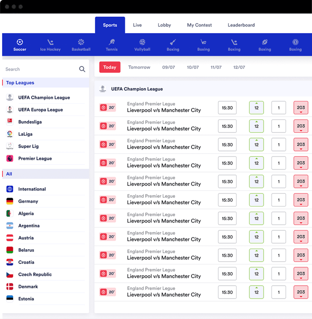 Ready-Made Sportsbook Provider - iGamingBook